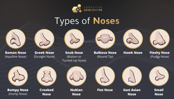12 Different Types of Nose Shapes | Yorkshire Skin Centre