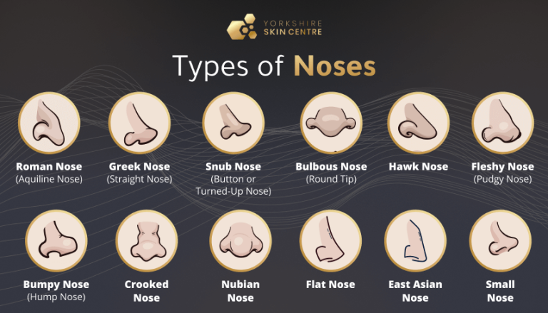 12 Different Types of Nose Shapes | Yorkshire Skin Centre